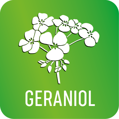 Geraniol - martecpetcare